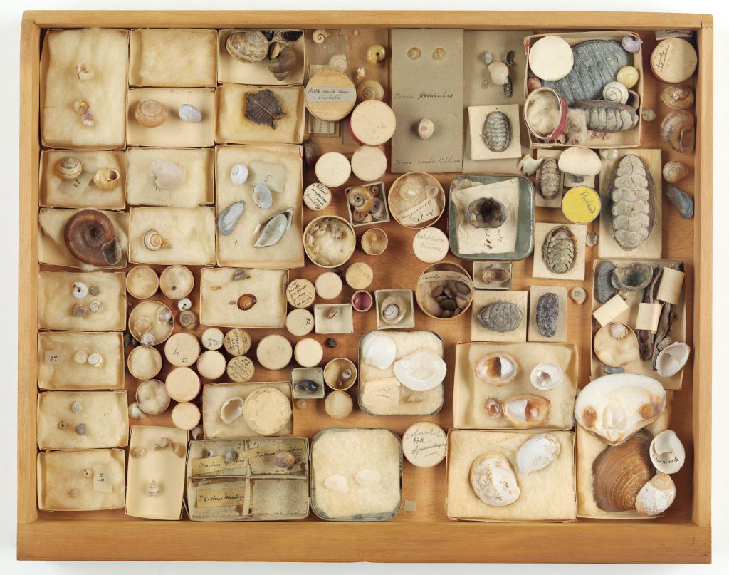 Home - Libraries Tasmania