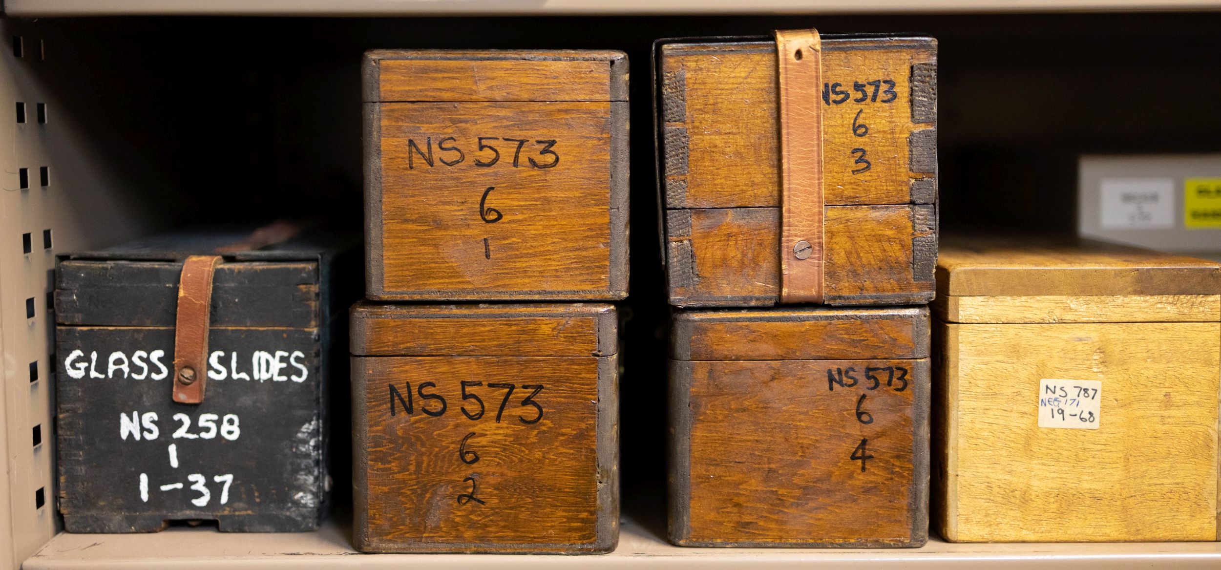 Collection offers - Libraries Tasmania